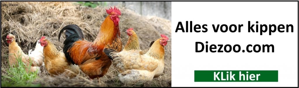 Kippennamen op alfabetische volgorde - Dierennamen